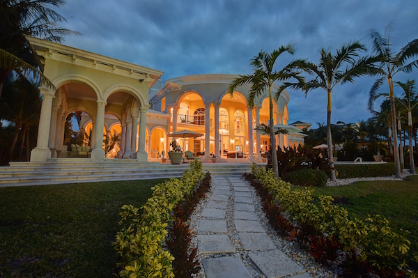 June Collie Art & Photo – GROW – Social Media Marketing