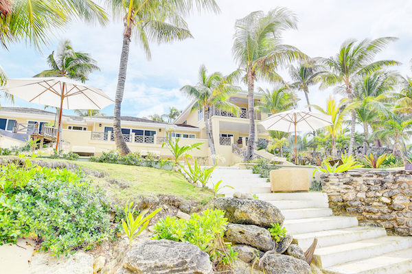 June Collie Art & Photo – GROW – Social Media Marketing