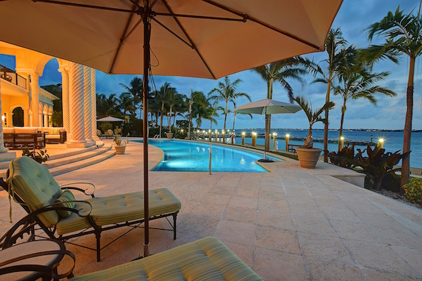 June Collie Art & Photo – GROW – Social Media Marketing