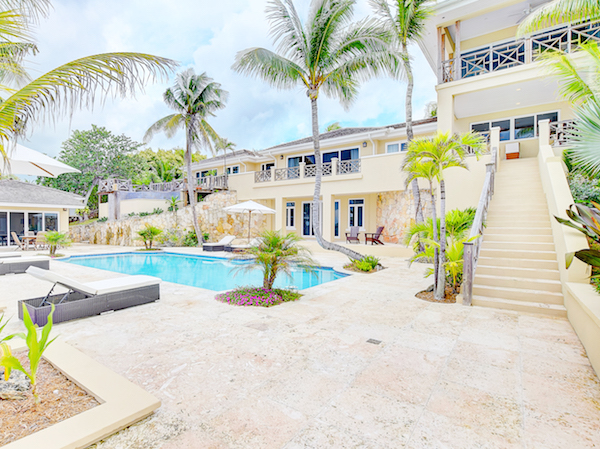 June Collie Art & Photo – GROW – Social Media Marketing