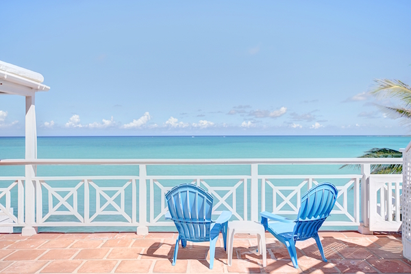 June Collie Art & Photo – GROW – Social Media Marketing