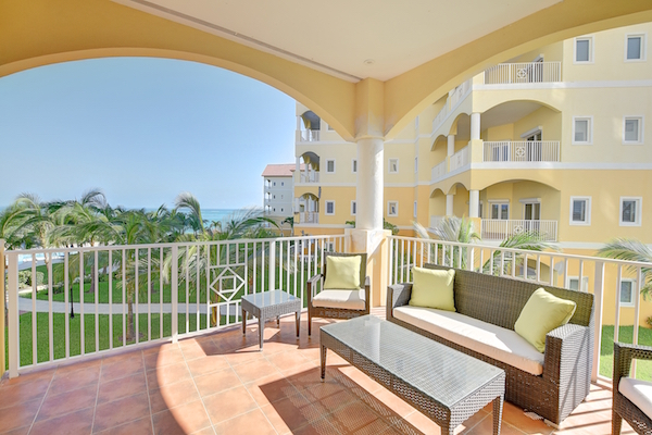 June Collie Art & Photo – GROW – Social Media Marketing