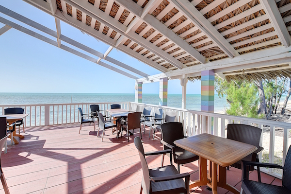 June Collie Art & Photo – GROW – Social Media Marketing