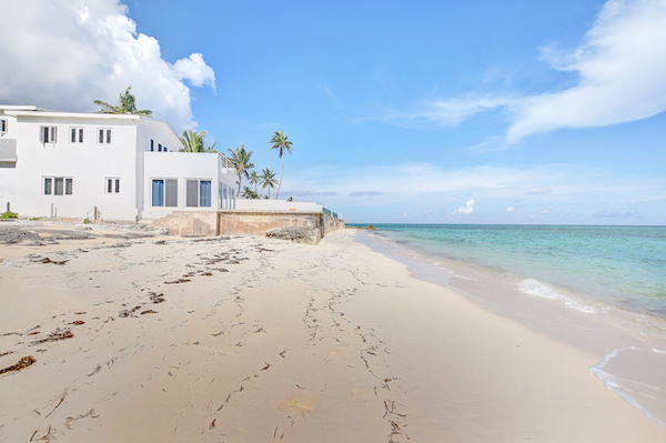 June Collie Art & Photo – GROW – Social Media Marketing