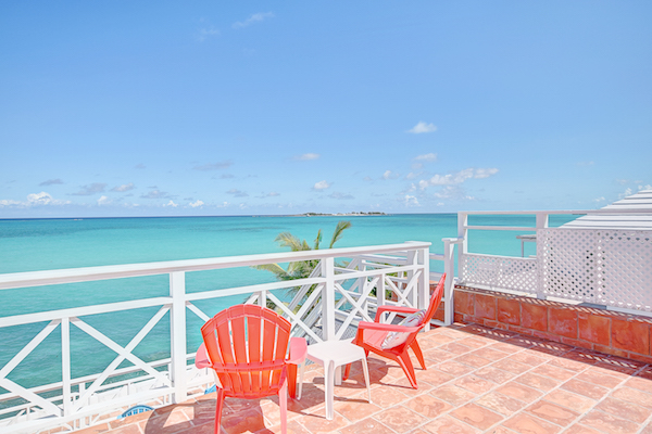 June Collie Art & Photo – GROW – Social Media Marketing