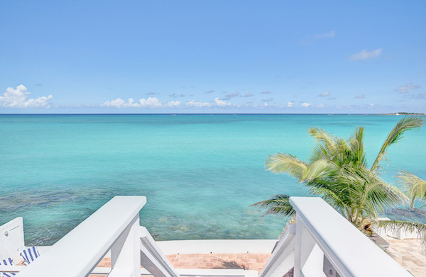 June Collie Art & Photo – GROW – Social Media Marketing