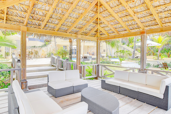 June Collie Art & Photo – GROW – Social Media Marketing