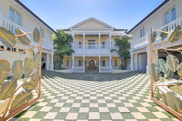 June Collie Art & Photo – GROW – Social Media Marketing