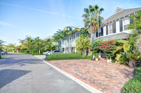 June Collie Art & Photo – GROW – Social Media Marketing