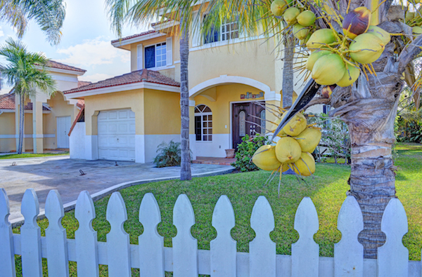 June Collie Art & Photo – GROW – Social Media Marketing