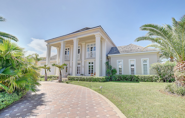 June Collie Art & Photo – GROW – Social Media Marketing